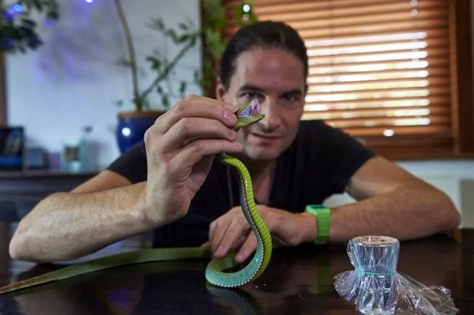 Lifestyle: GB: Steve Ludwin, l'homme qui résiste au venin de serpent ...