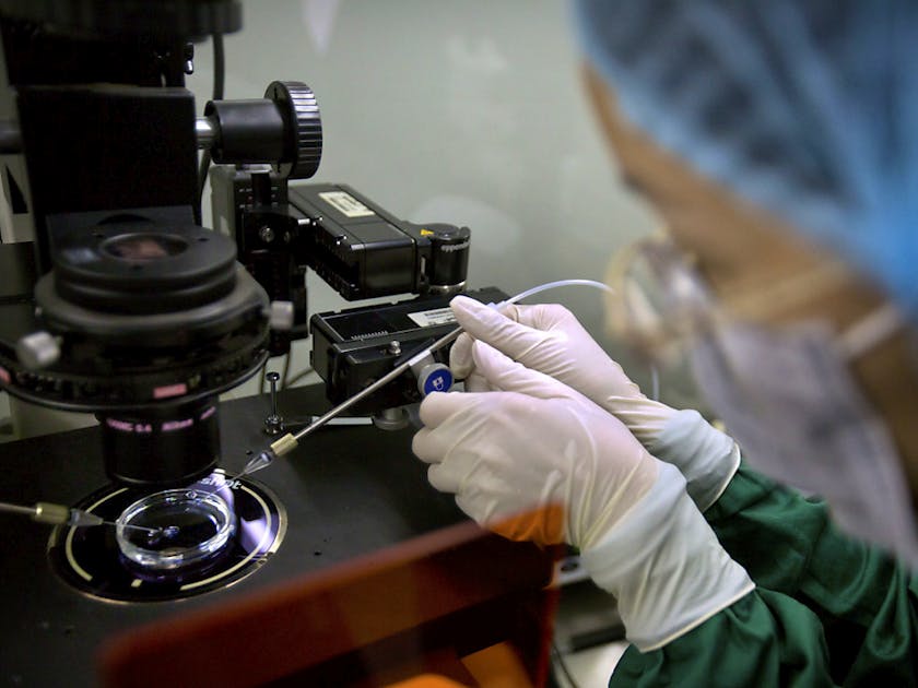 Santé: L'OMS examine la manipulation génétique | blue News