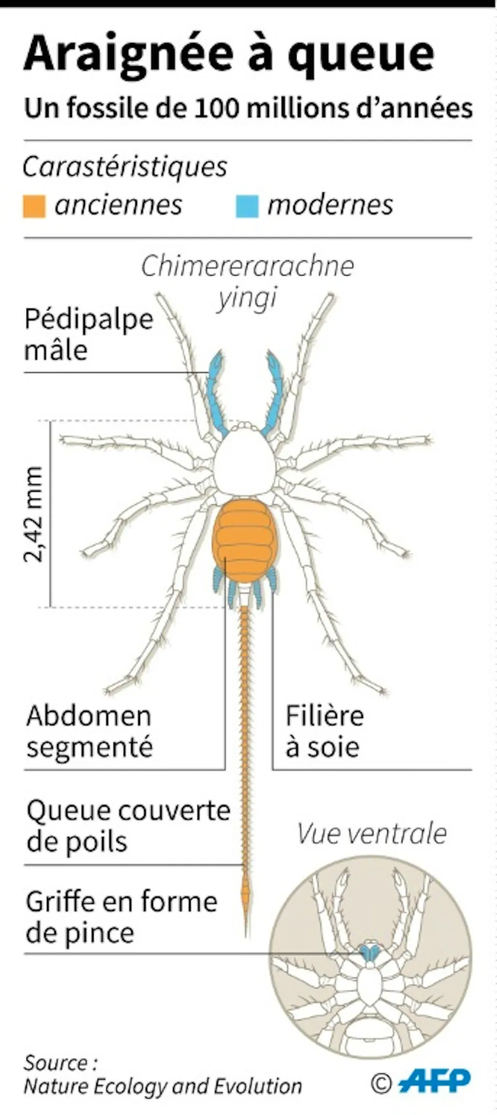 Sciences & Technique. Il y a 100 millions d'années se promenaient des ...