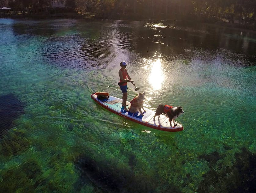 Un équipage étonnant. Maria traverse les Etats-Unis en paddle et avec ...