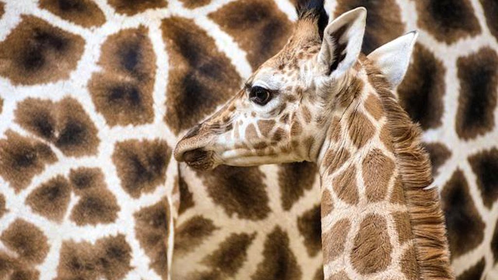 Home [www.bluewin.ch]