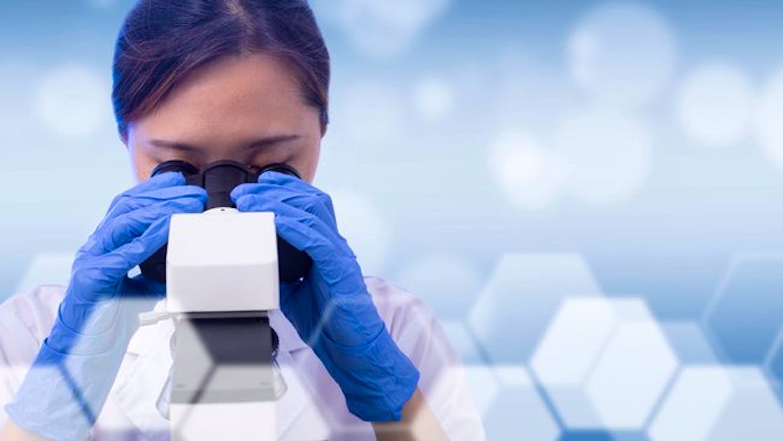 Avancée majeure: Bâle: découverte d'une protéine anti-cancer du foie ...