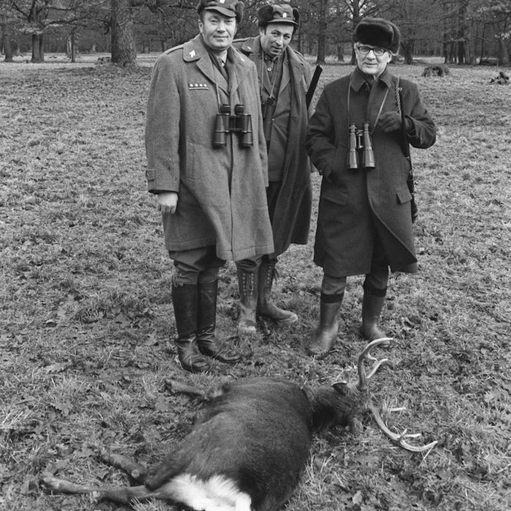 Honeckers letzter Hirsch - Buch über Jagd und Macht in der DDR
