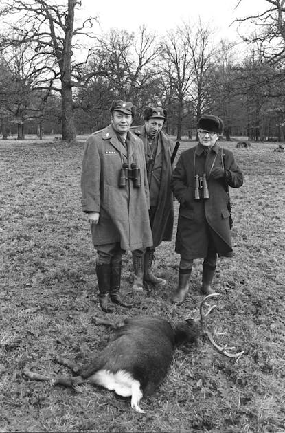 Einen Tag vor dem Mauerfall: Honeckers letzter Hirsch - Buch über Jagd und Macht in der DDR ...