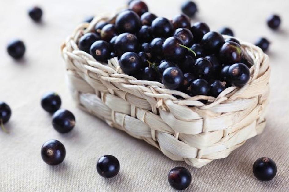 Alimentation: Les incroyables propriétés des fruits des bois | blue News