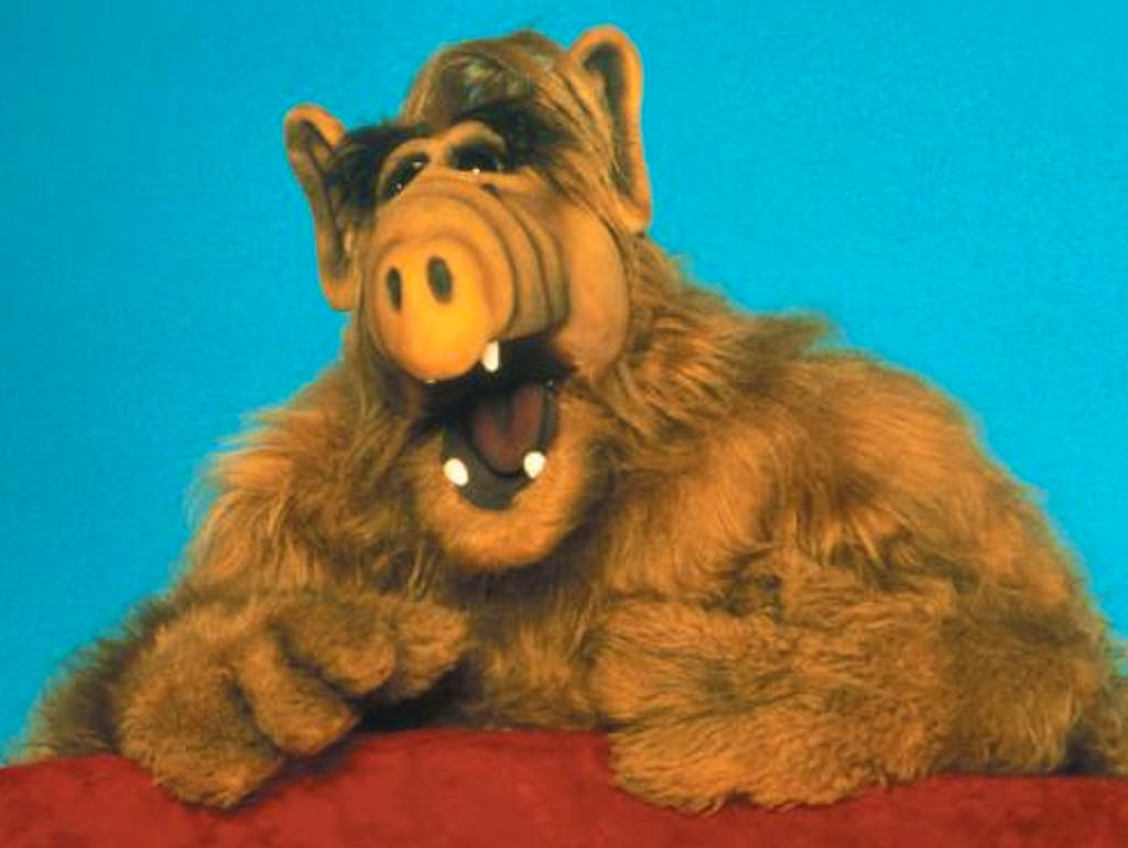 «Alf» vor dem Comeback? Katzen, rettet euch!