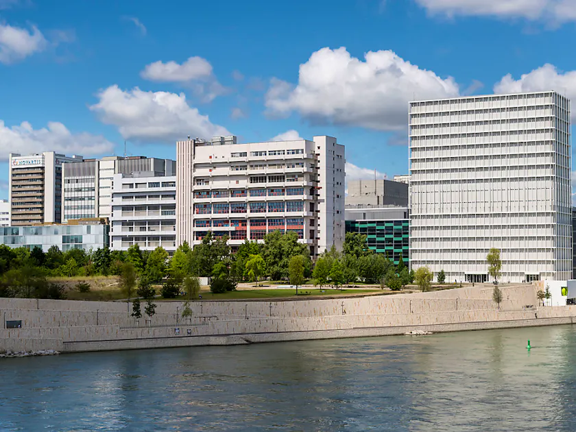 Pharma: Feu vert pour le Mayzent de Novartis aux USA | blue News