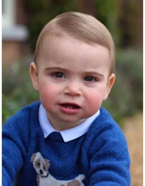 Buon compleanno!: Il piccolo Louis compie un anno, ecco le foto ...