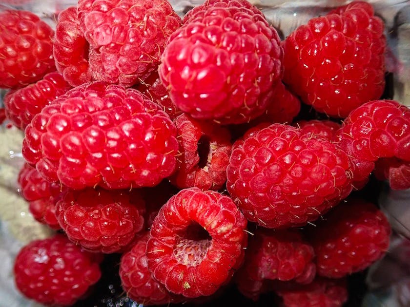 Conseil TV: Les framboises romandes, un mets de luxe? | blue News