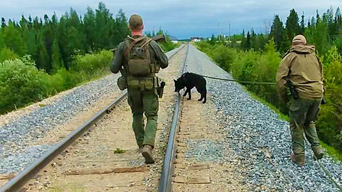 Manitoba: La chasse à l'homme se poursuit au Canada | blue News