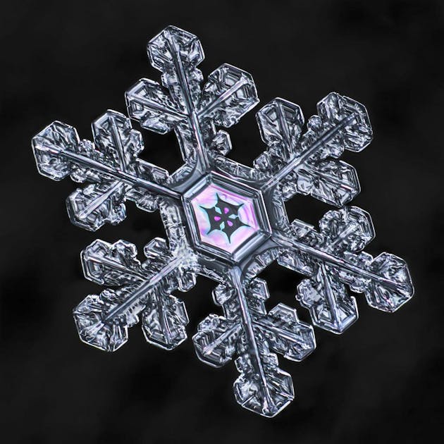 Macrophotographie: De fabuleux clichés de flocons de neige | blue News