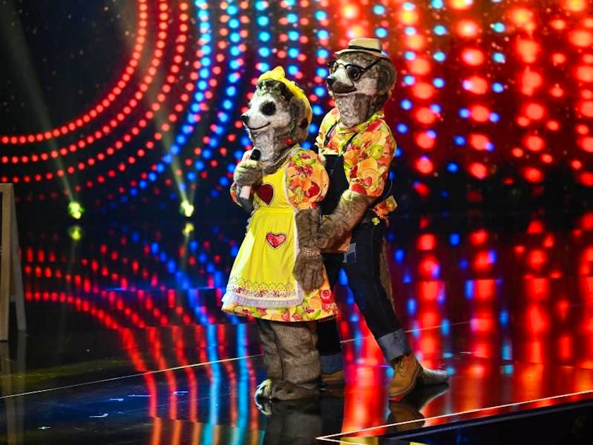 News: Überraschung bei «Masked Singer»: Diesmal tritt ein Duo an | blue ...