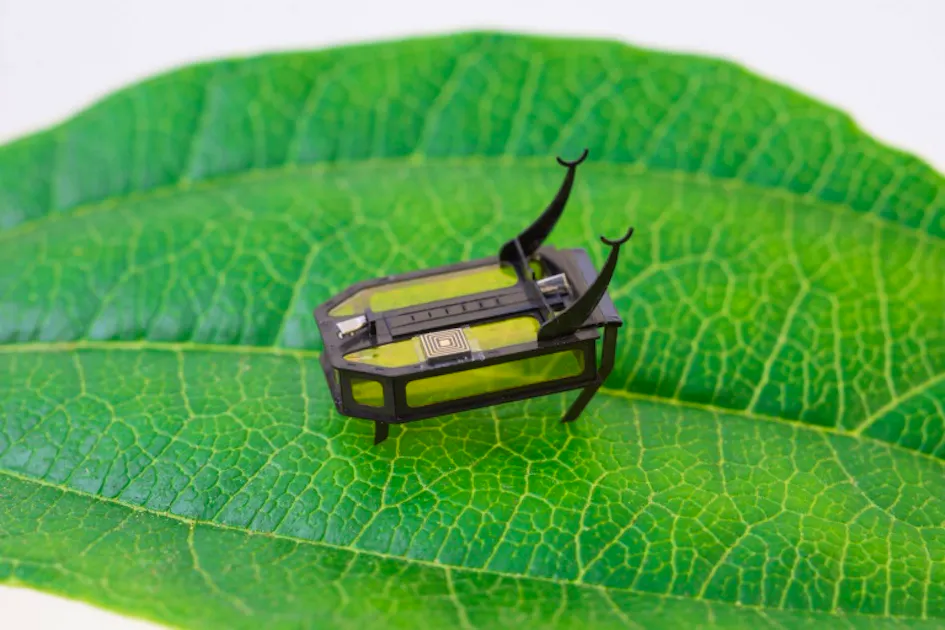 Sciences & Technique: Des scientifiques ont développé un mini-robot ...