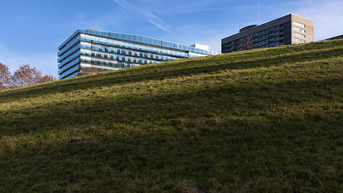 Gesundheitswesen: Stadtspital Waid und Triemli heisst neu Stadtspital ...