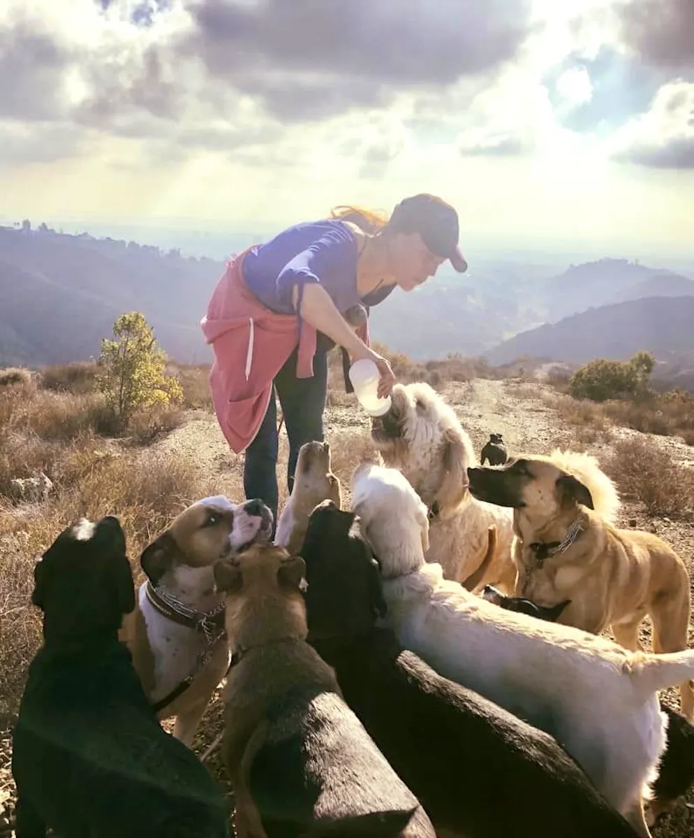 Nina Hauser: «Ein Hund muss nicht immer überall mit dabei sein»