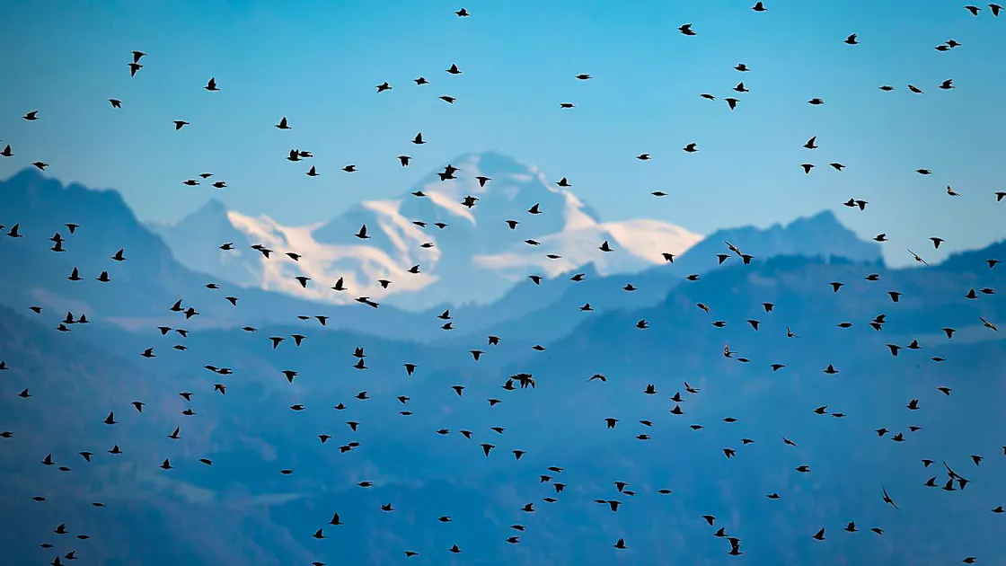 France: Le survol à basse altitude du Mont-Blanc est désormais interdit ...