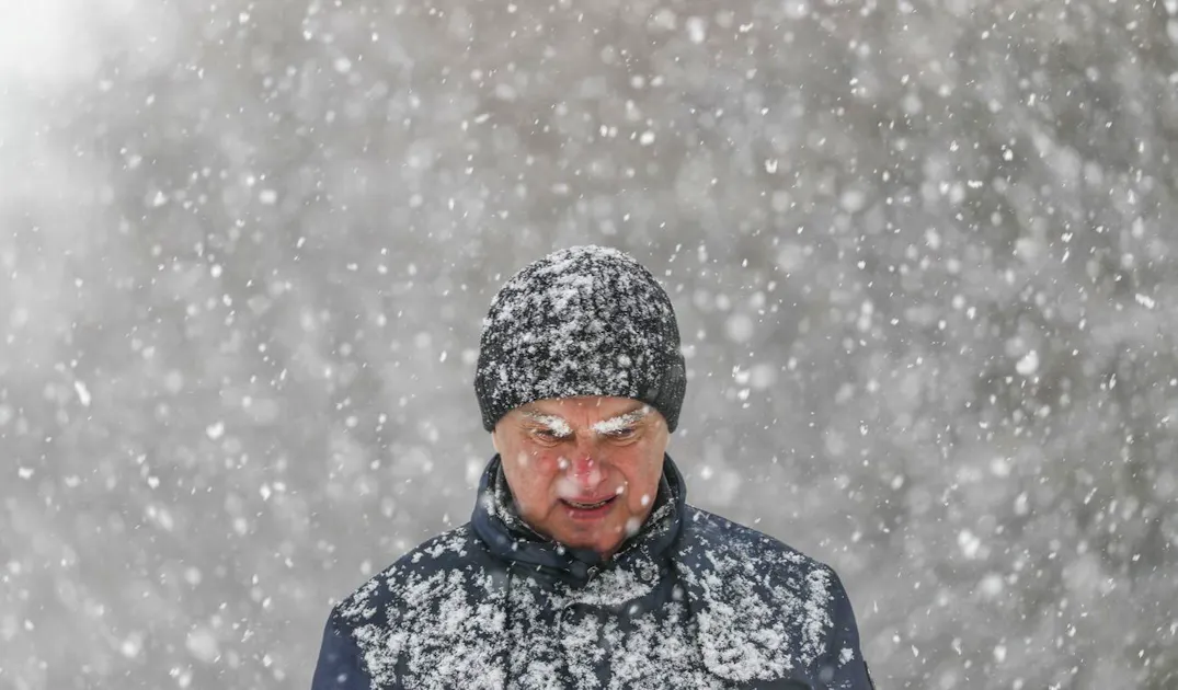 Expo à Berne: Voir la neige à travers une lorgnette ludique et ...