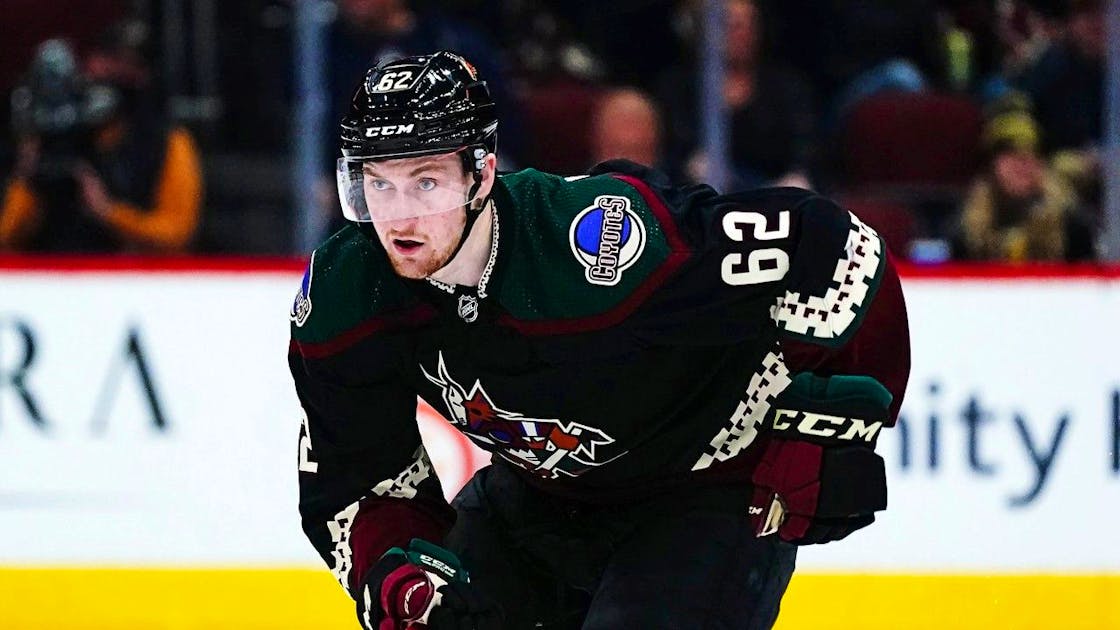 NHL: La victoire et un assist pour Janis Moser | blue News