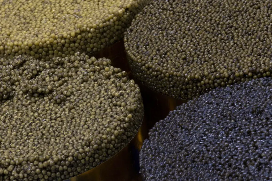 Gastronomie: Un caviar français obtient de l'UE son certificat IGP, une ...
