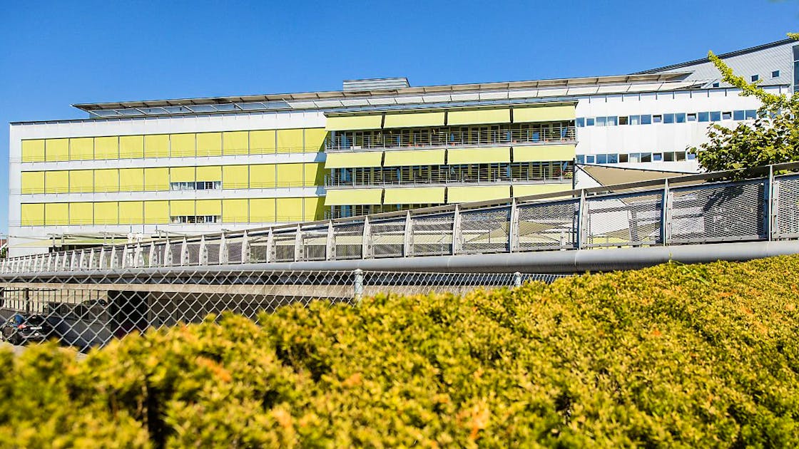 Heime: Altersheim in Ebikon soll zur Aktiengesellschaft werden | blue News