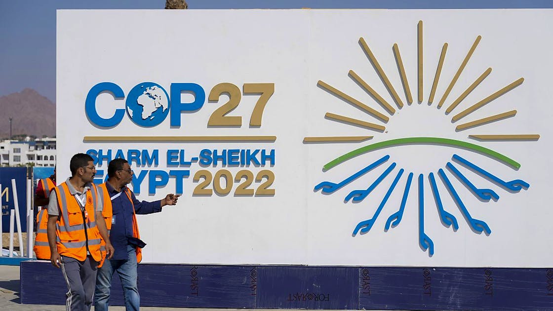 COP27: ONG svizzere chiedono di velocizzare la transizione energetica | blue News