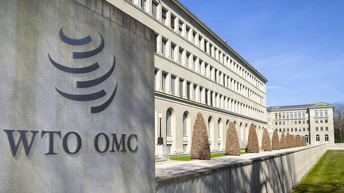 Commercio: L'UE si rivolge al WTO per due controversie con la Cina ...