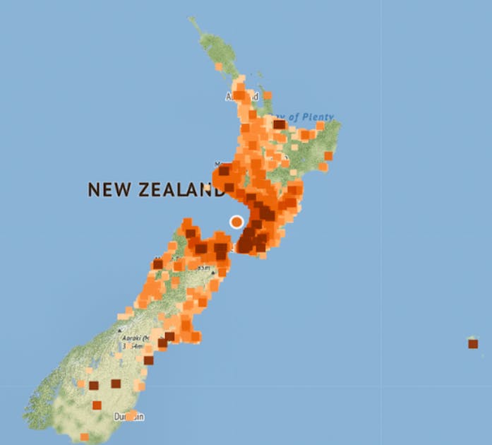 Stärke von 6,1: Erdbeben erschüttert Neuseeland | blue News