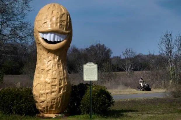 Fief de Jimmy Carter. Une cacahuète géante est devenue le symbole d'un ...