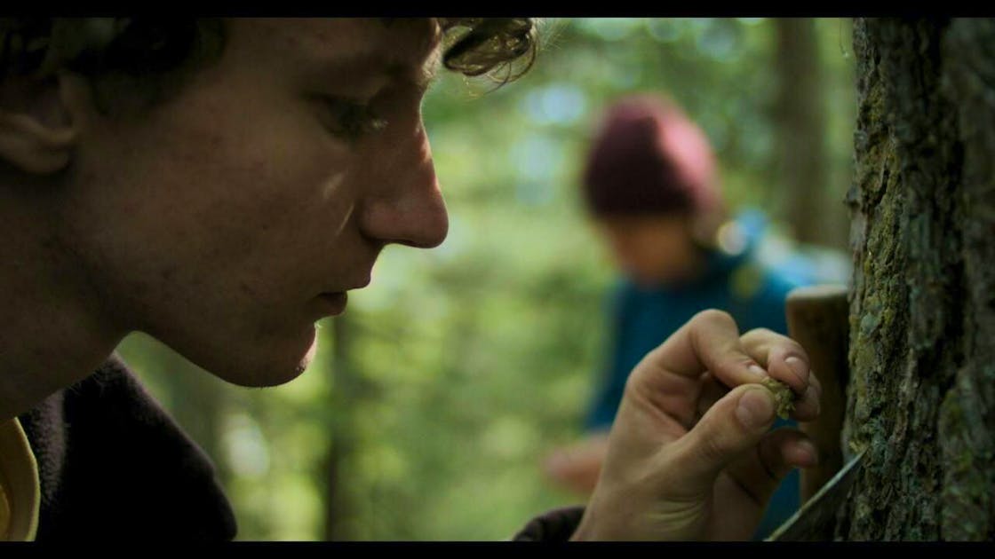 Cinema: Al FIFF anche un corto del ticinese Janush Lucchini | blue News