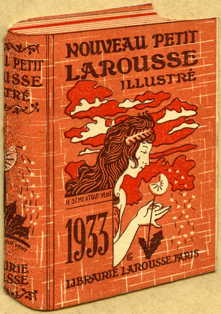 Découvrez les nouveaux mots du Larousse et du Robert | blue News