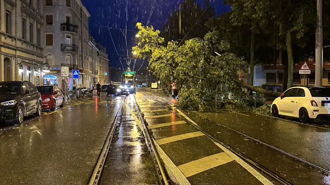 Unwetter: Umgestürzte Bäume und Baugerüste nach Sturm in der Region ...