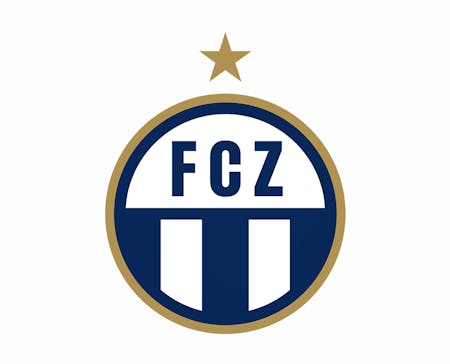 Schwingen für Anfänger: Diese 16 Begriffe musst du kennen | blue News