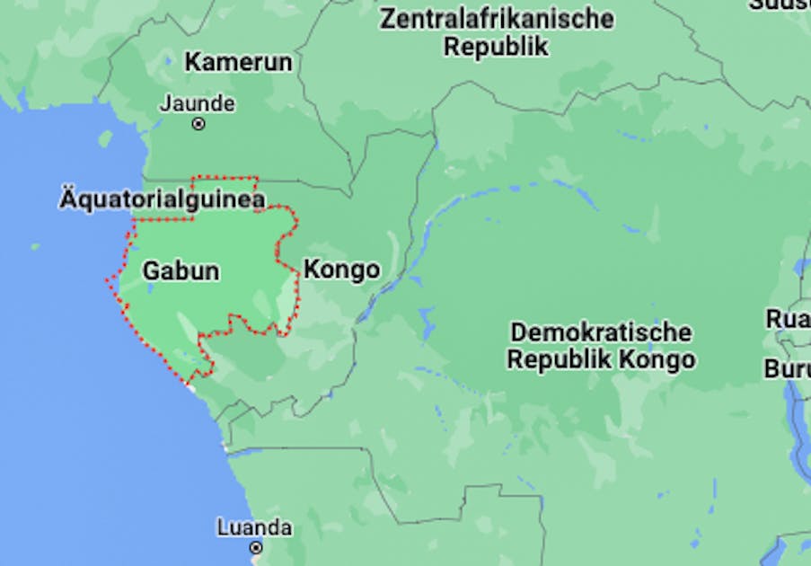 Gabun: Militärs verkünden «Ende des derzeitigen Regimes» | blue News