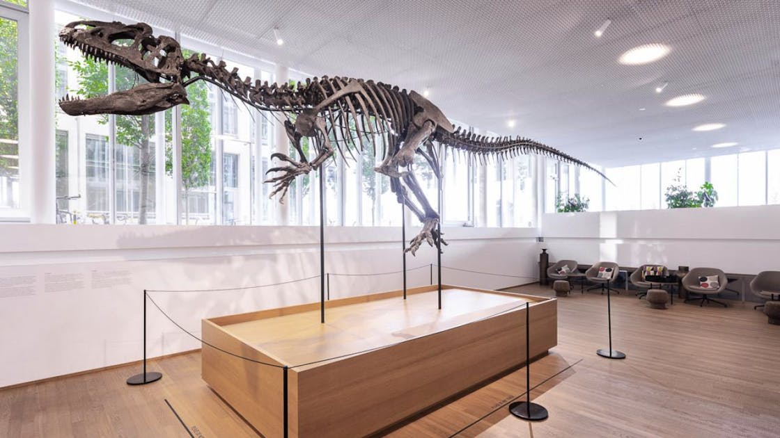 Nordschweiz: Novartis übergibt Naturhistorischem Museum Basel ein ...