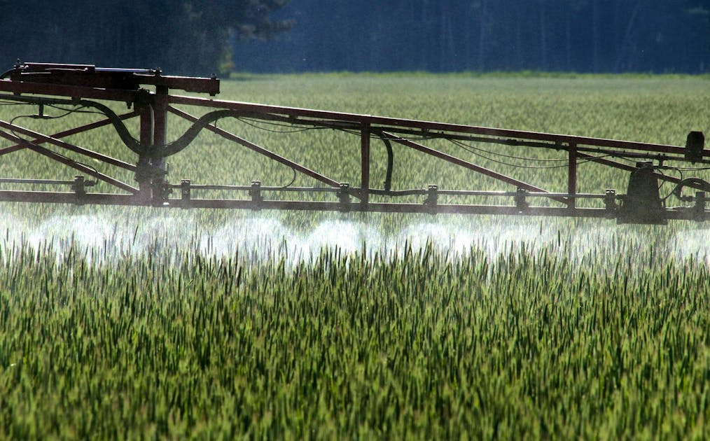 Very high pesticide residues measured in the Wyna | blue News