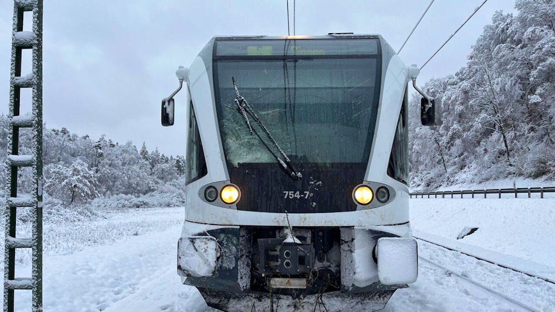 Bahnverkehr: Zug prallt zwischen Schaffhausen und Thayngen in Baum ...