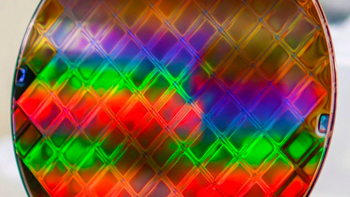 Realizzati dei mini computer ibridi con neuroni umani | blue News