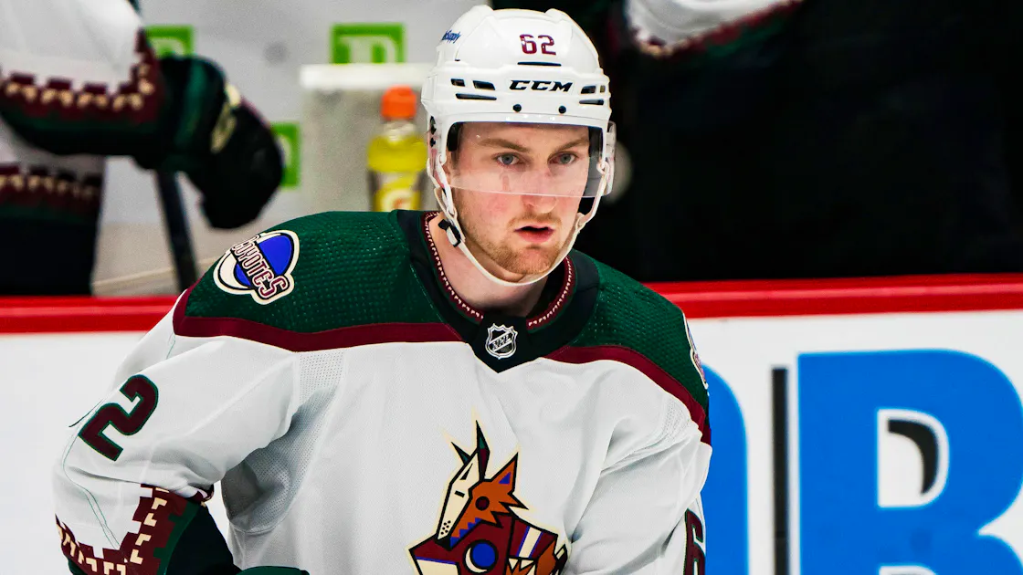 NHL: Janis Moser et les Coyotes grimacent encore | blue News