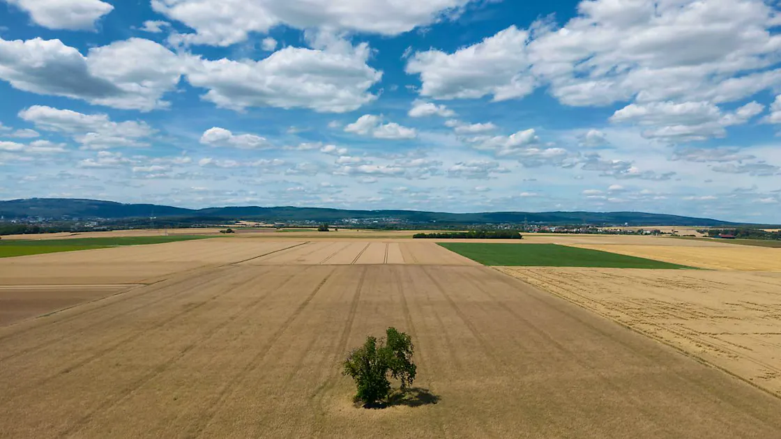 Landwirtschaft/Agrar: Schweizer Landwirtschaft leidet 2023 unter ...