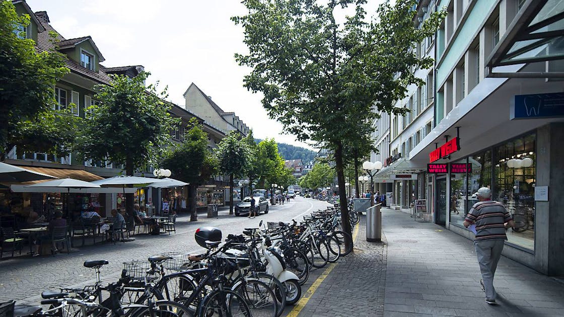 Bern: Hitze und Biber setzen den Thuner Stadtbäumen zu | blue News