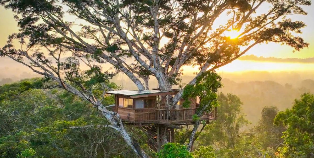 Besoin de vacances?: Une cabane de luxe au sommet de la forêt ...