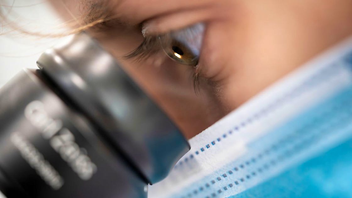 Santé: Thérapies géniques : Limula lève 6 millions | blue News