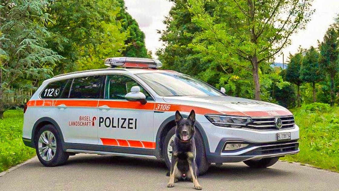 Crime: Driver flees from the Basel police | blue News