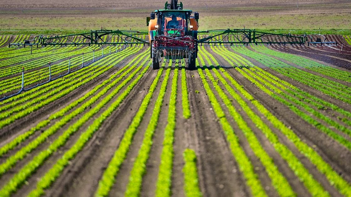 Agriculture: St. Gallen initiative against new reporting tool for plant ...