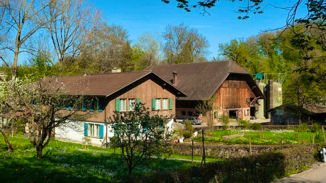 Berne: Bernese farm Elfenau gets new tenants | blue News