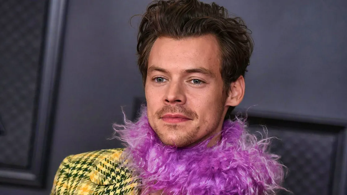She sent him 8000 cards: Harry Styles' stalker goes to prison | blue News