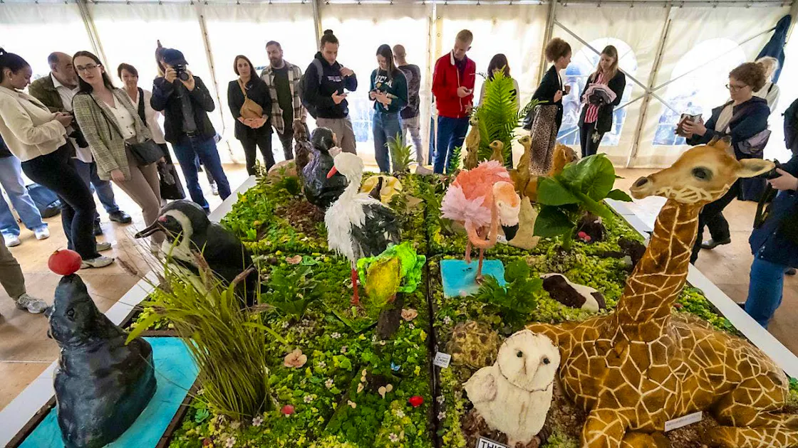 Animal world: Basel Zoo celebrates anniversary with huge cake | blue News