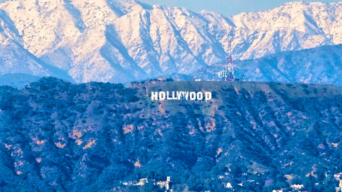 Media: Son of Oracle boss buys Paramount | blue News