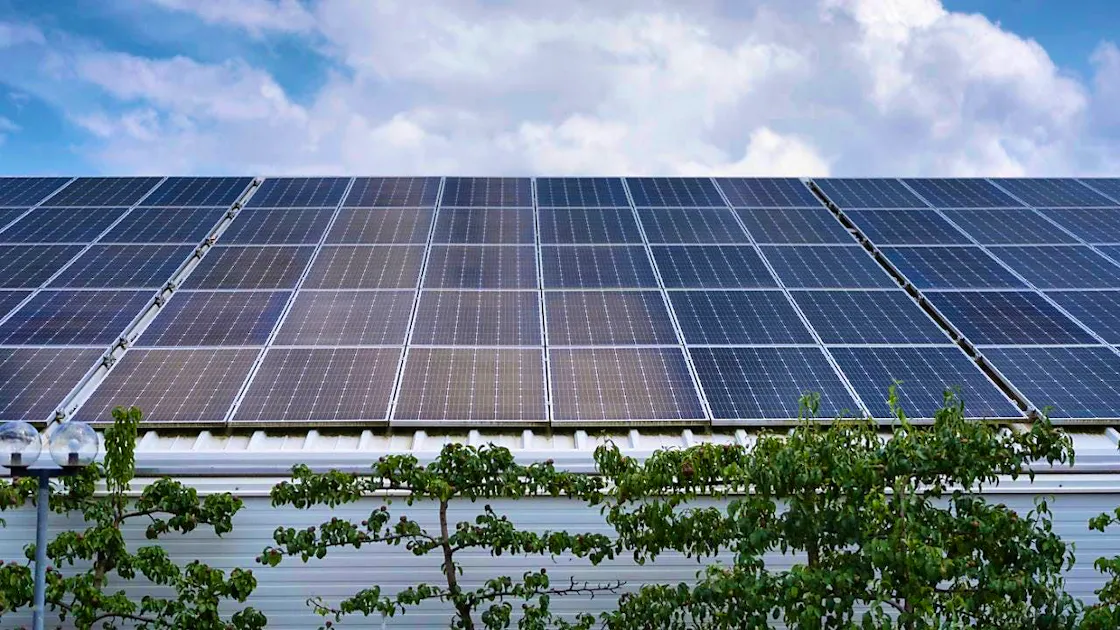 Public service: Solar energy soon to cover over ten percent of ...
