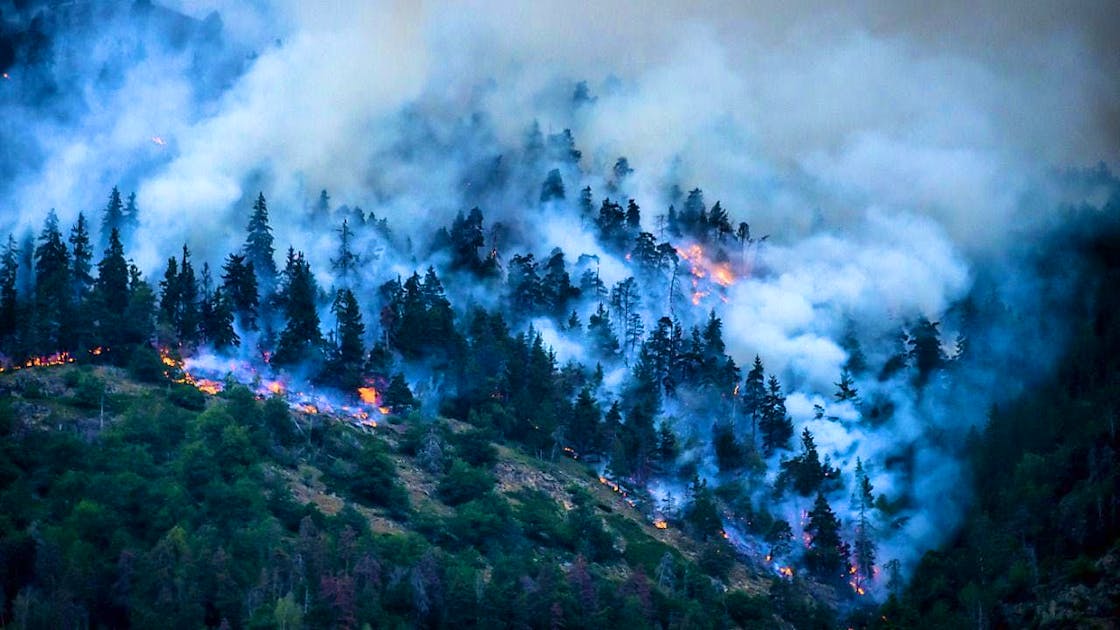 Fire, fire: Forest fire in Bitsch VS is caused by gunshots | blue News